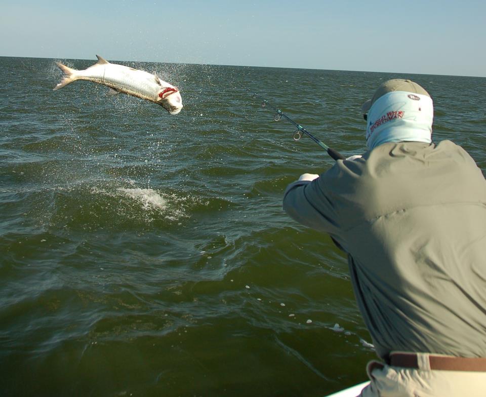 Tarpon Fishing In The Florida Keys Are Of Marathon, FL.
